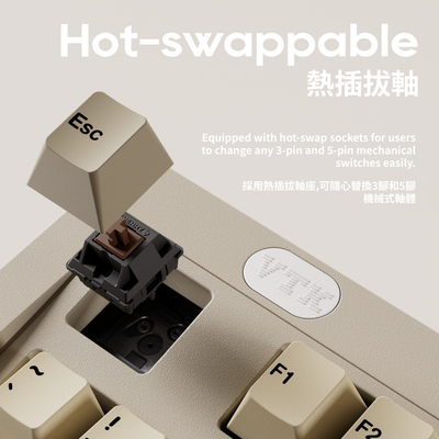 Model M SSK Triple Mode Barebone - Retro inspired - Vortex Keyboard